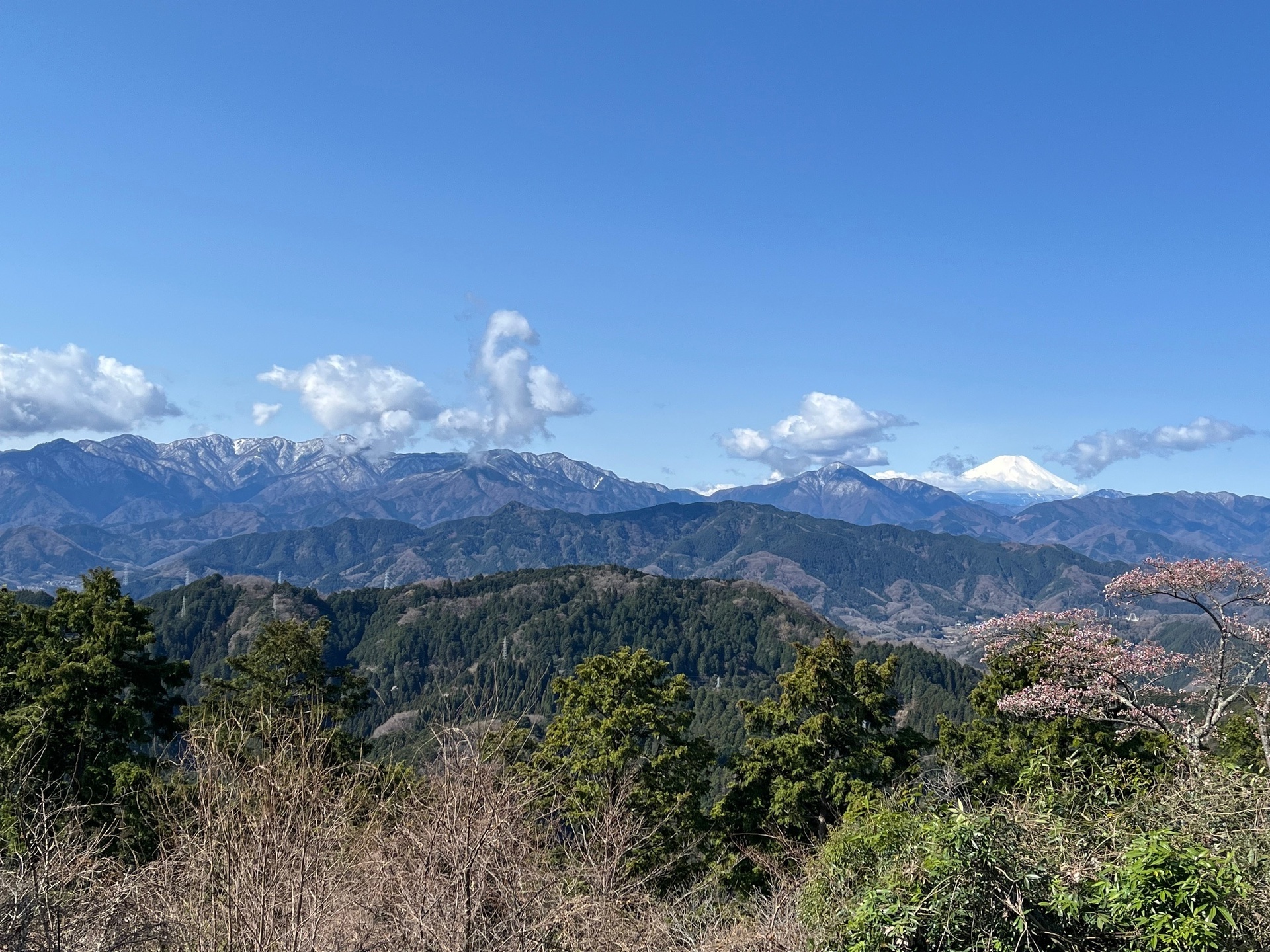 真の「身を切る改革」とは何か!!: 元我孫子市議会議員 印南宏のブログ